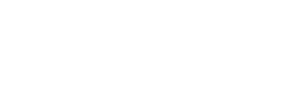 Swag Store by daily.dev